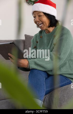 Comfortable grey sofa and houseplant in interior of living room ...