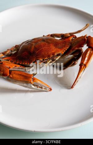 Cooked crab on blue plate, lemons, rose wine on table, sunlight ...