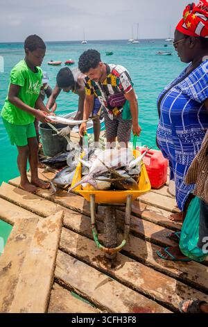 Local fishermen unloading fish from small boats and preparing the catch ...