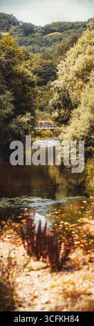 A vertical shot of a small river surrounded by trees and greenery in a ...