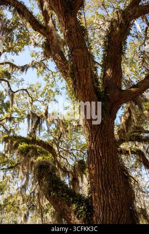 The Chapel of Ease is located in the Frogmore community on Saint Helena ...