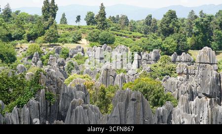 The Stone Forest (Shilin) in Yunnan, China,a world-renowned karst ...
