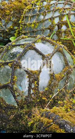 Moss-Covered Glass Fishing Float with Netting Stock Photo - Alamy