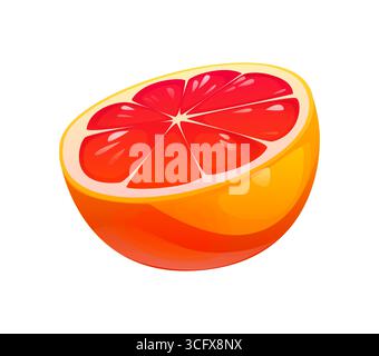 delicious tasty fruit grapefruit cartoon vector illustration graphic ...