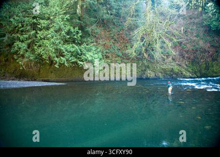 Fly fishing for steelhead along the Oregon Coast Stock Photo - Alamy
