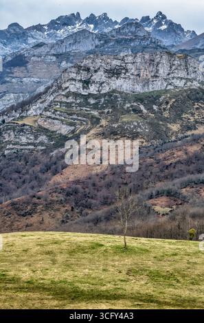 Ponga Natural Park (Asturias - Spain Stock Photo - Alamy