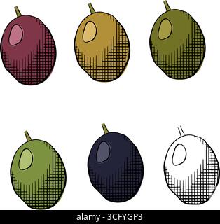 Olives on branch line icon illustration vector Stock Vector Image & Art ...
