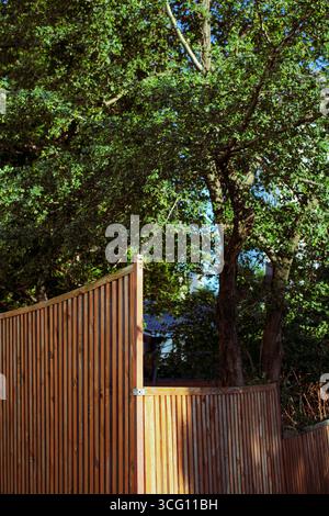 Nice wooden fence around house. Wooden fence with green lawn. Street ...