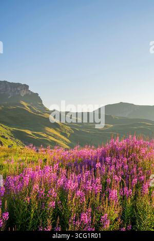 Fuscher Lacke with mountain panorama in late autumn, snow and ice ...