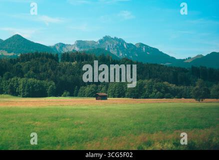 A small wooden cabin in the wide field with green grasses Stock Photo ...