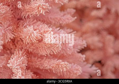 delicate powdery Christmas background from a Christmas tree Stock Photo ...
