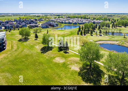 Panoramic view of houses surrounded by fresh green trees along a ...