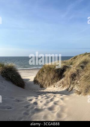 North sea shore in Jutland, Denmark Stock Photo - Alamy