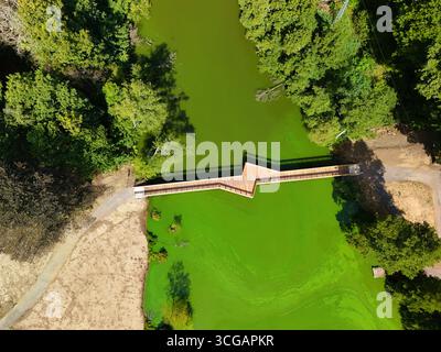 Zigzag Wooden Bridge Over Algae-Covered Lake – Aerial View Stock Photo ...