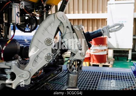 Deep-sea robotic manipulator for technical work on the wellhead ...