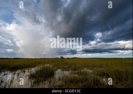 Storm clouds over sawgrass prairie in Everglades National Park, Florida ...