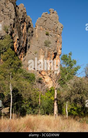 Towering ancient limestone walls - Windjana Gorge National Park, WA ...