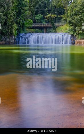 Malanda falls cascade on Johnstone river in topical rainforest with man ...