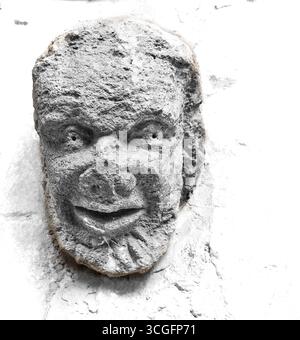 water spout in the shape of a grotesque animal on Reims Cathedral ...