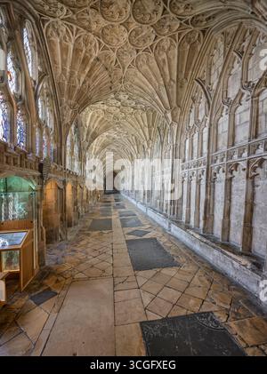 Gloucester Cathedral's medieval cloisters with vaulted ceiling and ...