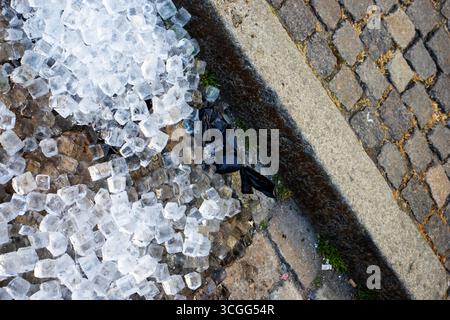 Cubes of ice dumped on the cobbled street melting in Copenhagen ...