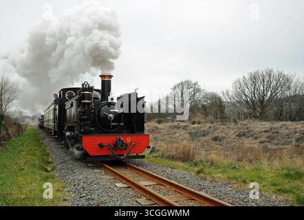 "Prince of Wales" with a mixed train, approaching Llanbadarn Fawr Stock ...