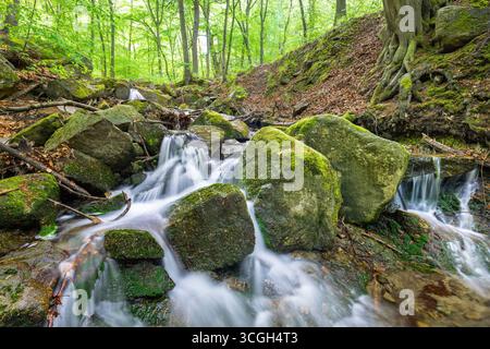 Small waterfall in the harz, germany Stock Photo - Alamy