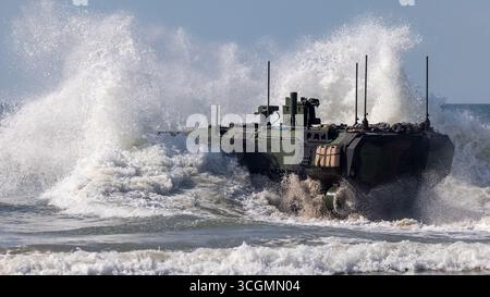 U.S. Marines with 2nd Assault Amphibian Battalion, 2nd Marine Division ...