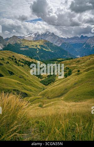 Green forest hills beneath cloudy sky in a natural landscape setting ...