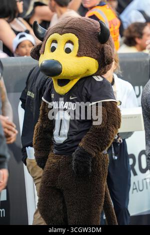 Colorado mascot Chip in the first half of an NCAA college basketball ...