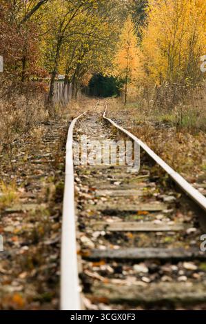 Narrow and abandoned rail tracks in Soos National Nature Reserve, Czech ...