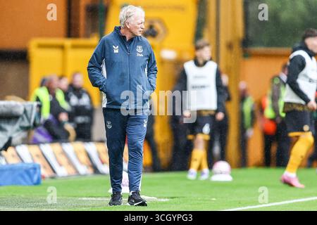 Everton's head coach David Moyes reacts during the English Premier ...