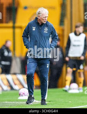 Everton's head coach David Moyes reacts during the English Premier ...