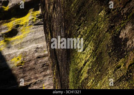 Green moss covering solid rock formations, Adrspach rocks, Czech ...