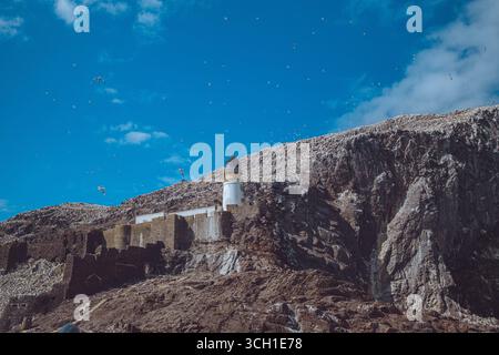 Majestic and rugged, Bass Rock rises from the sea—home to the world’s ...