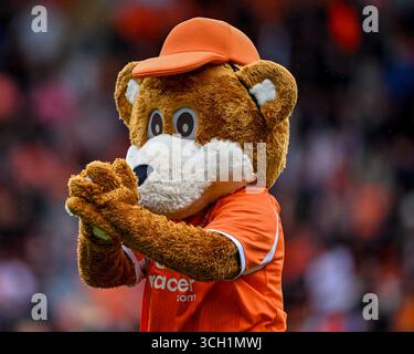 Blackpool mascot Bloomfield Bear Stock Photo - Alamy