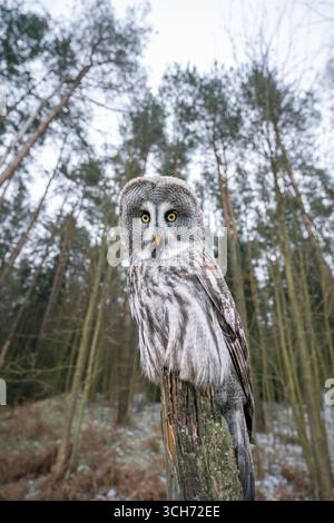 Wide angle close up shot of Hispanic man standing outside on street ...