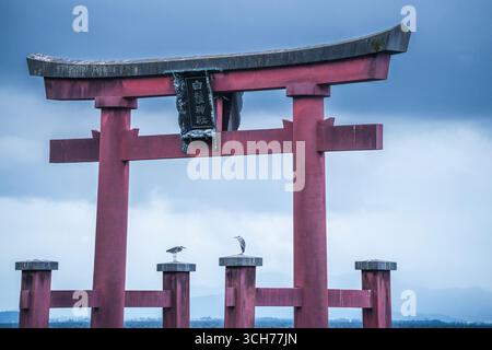Birds perch on the torii gate of Shirahige Shrine, Japan Stock Photo ...