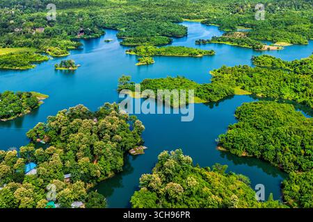 A mesmerizing view of a green landscape with dense trees Stock Photo ...