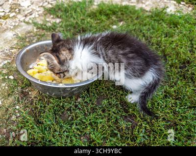 Peaceful nature background with stripes of white fluffy clouds and blue ...