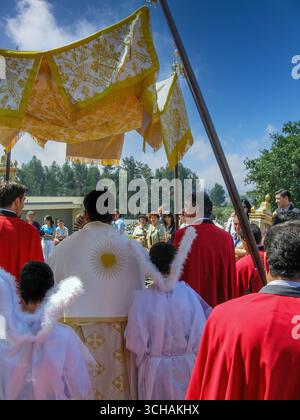 Catholic Priest In First Communion Ceremony, Toronto, Canada Stock ...