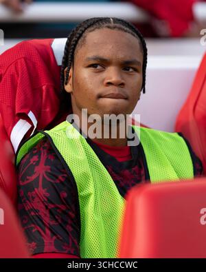 Giorgi Mamardashvili of Liverpool during the Premier League match ...