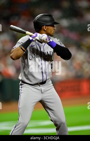 Colorado Rockies shortstop Ryan Ritter (8) leaves the after suffering ...