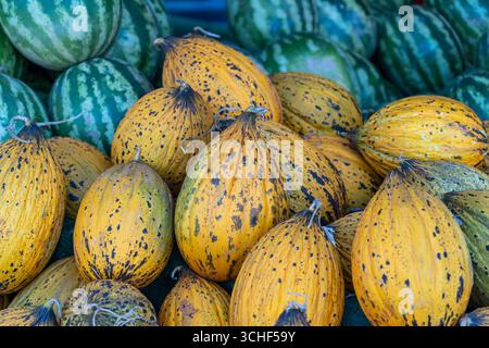 Close-up of watermelons on a marketplace stall Stock Photo - Alamy