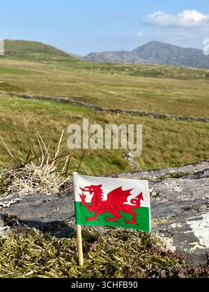A Wales flag in typical Welsh landscape Stock Photo - Alamy