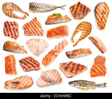 Different types of grilled fish on white background, collage Stock ...