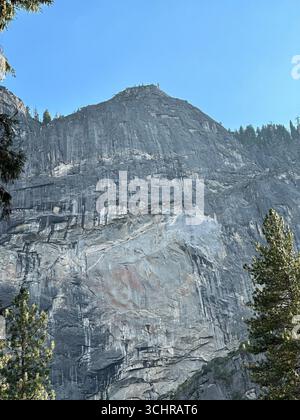 Towering granite cliff face with pine trees in the foreground, Yosemite ...