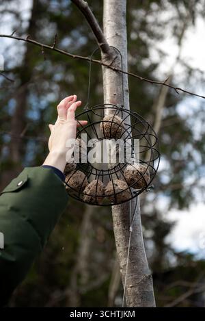 Wooden bird feeder in winter on a tree branch in a city park Stock ...