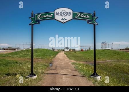 Bright summer photo of Macon Baseball Fields featuring green outfields ...