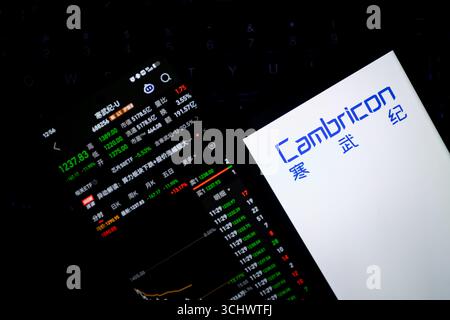 CHONGQING, CHINA - SEPTEMBER 8, 2025 - An illustration photo shows HLA ...